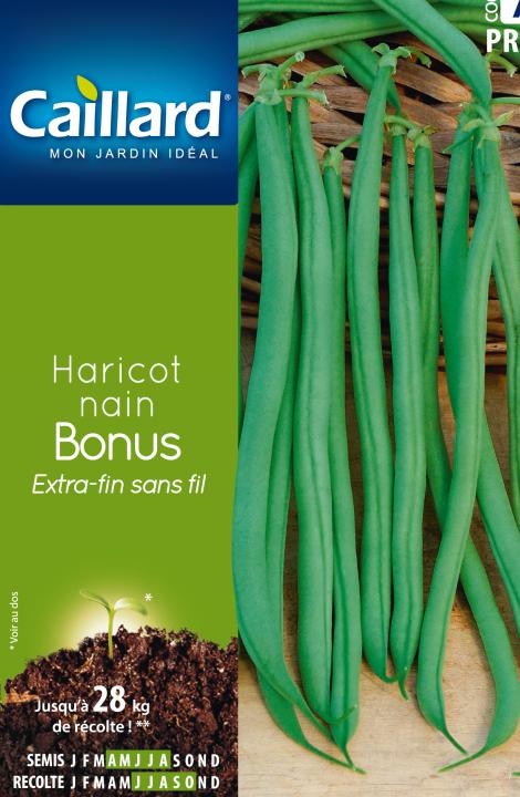 Haricot nain extra-fin sans fil bonus - Graines Caillard