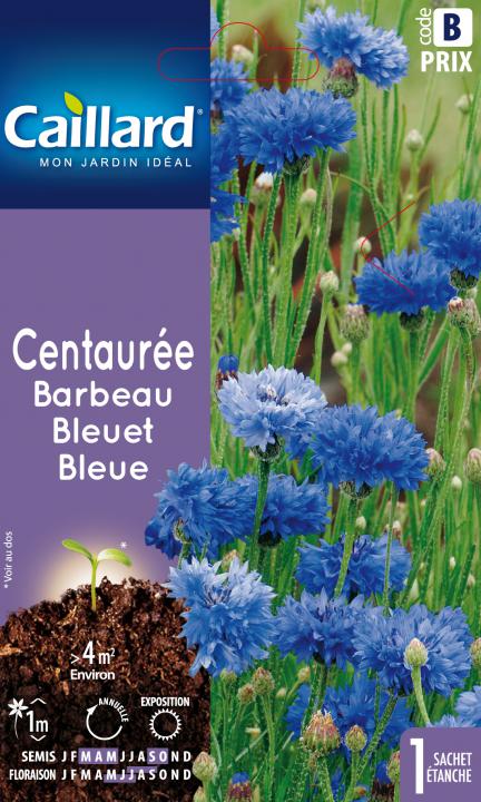Centauree barbeau bleuet bleue - Graines Caillard