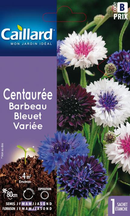Centauree barbeau bleuet variee - Graines Caillard