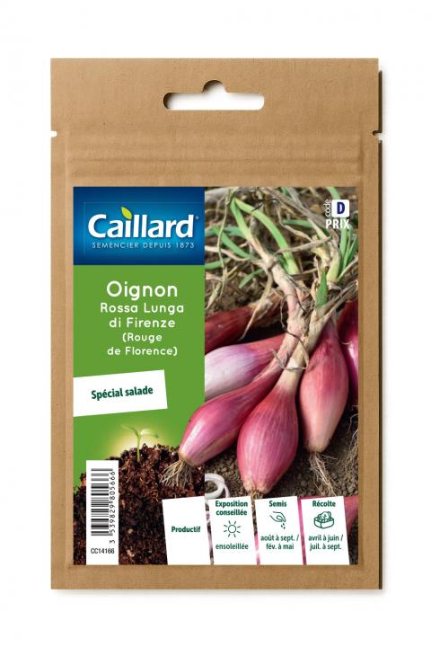 Oignon rossa lunga di firenze (rouge de florence) - Graines Caillard