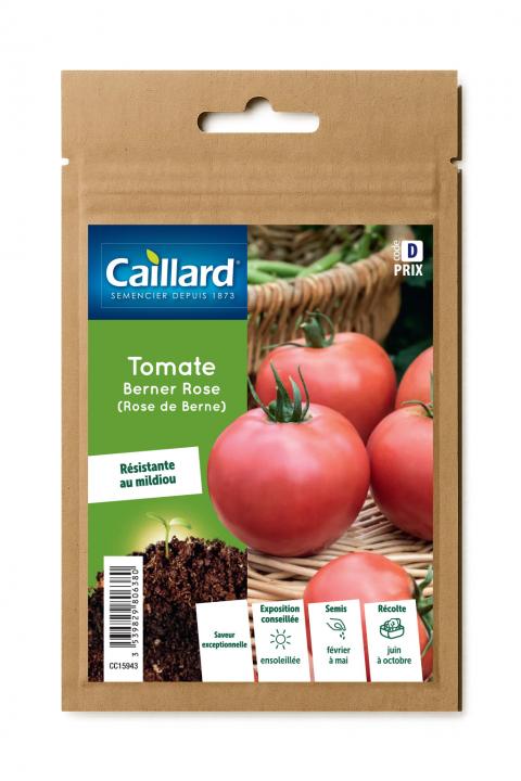 Tomate berner rose (rose de berne) - Graines Caillard